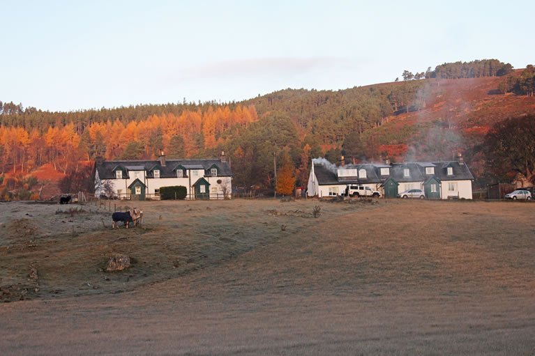 IMG_7705 adjusted - Alvie Estate