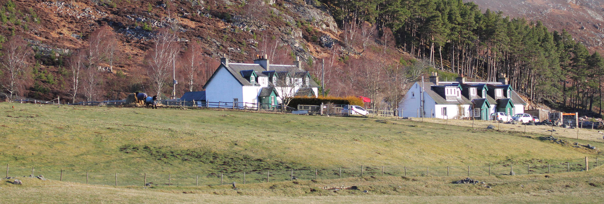 slide_home_cottages_001 - Alvie Estate