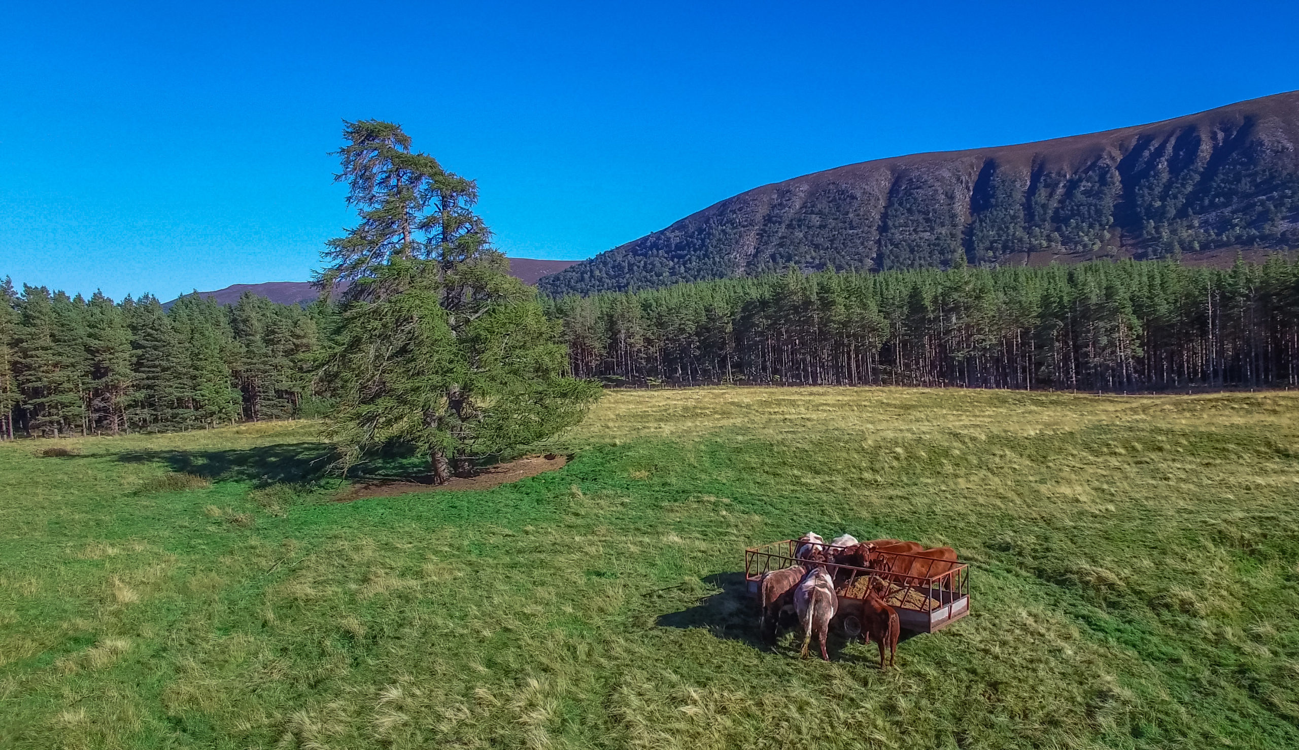 Are you looking for a holiday destination that offers self-catering ...