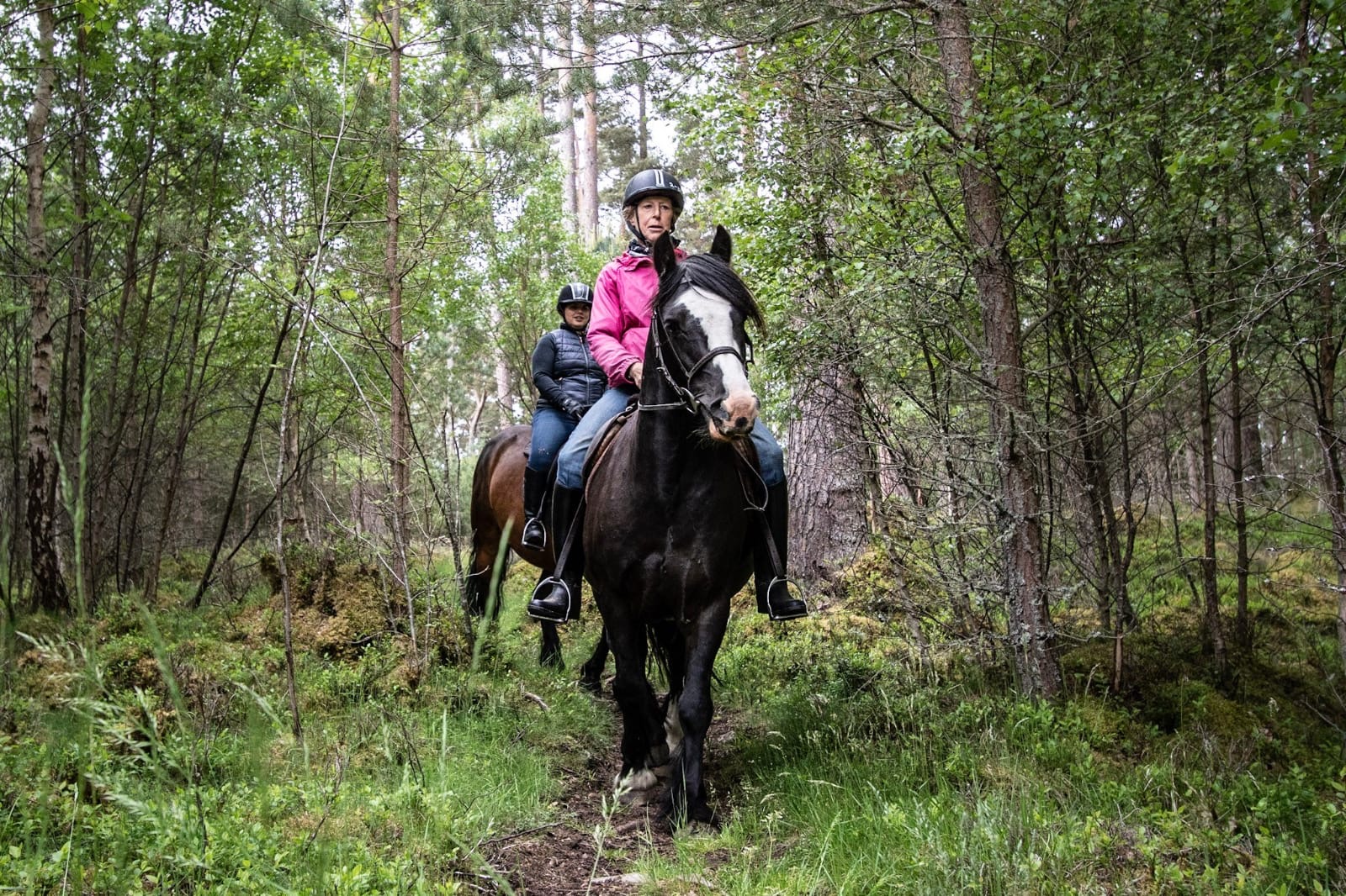 Are you looking for a holiday destination that offers self-catering ...