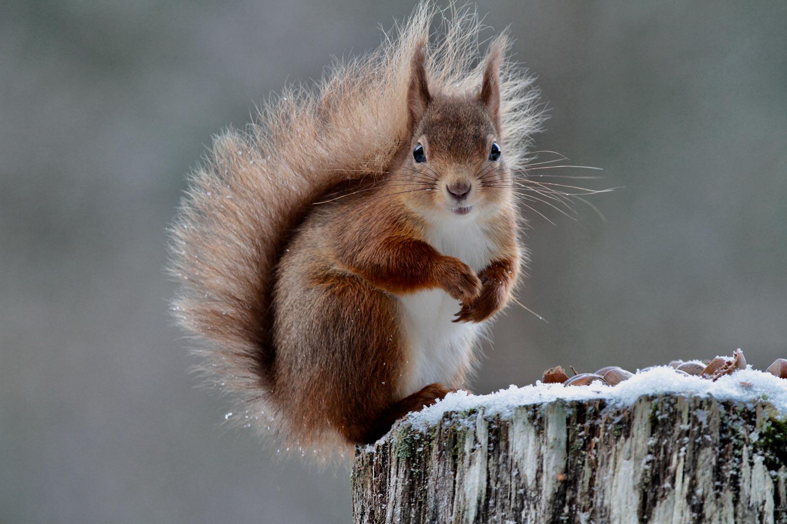 Are you looking for a holiday destination that offers self-catering ...